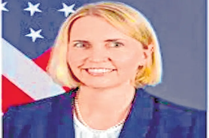 US ambassador to Ukraine quits