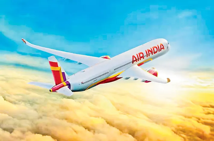 Air India receives first custom-made Dreamliner post-privatisation