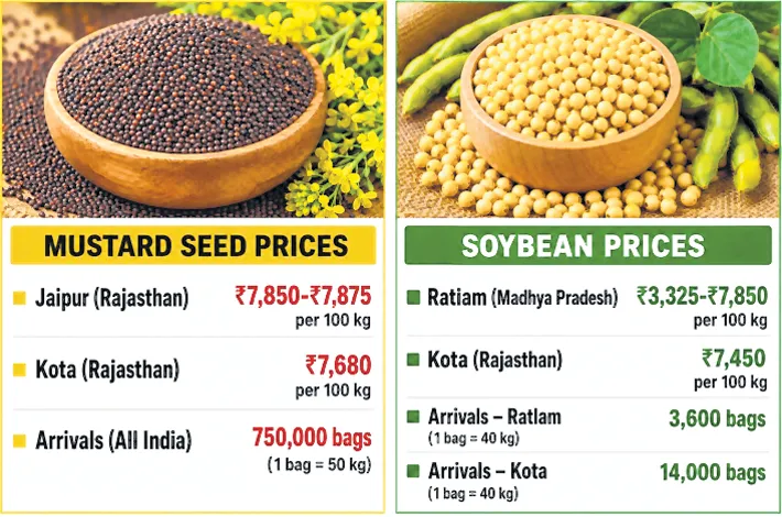 Mustard mixed, soybean steady amid need-based buying